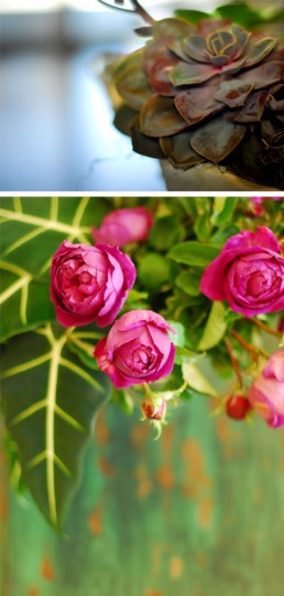 Flowers Everywhere - Bloomingayles
